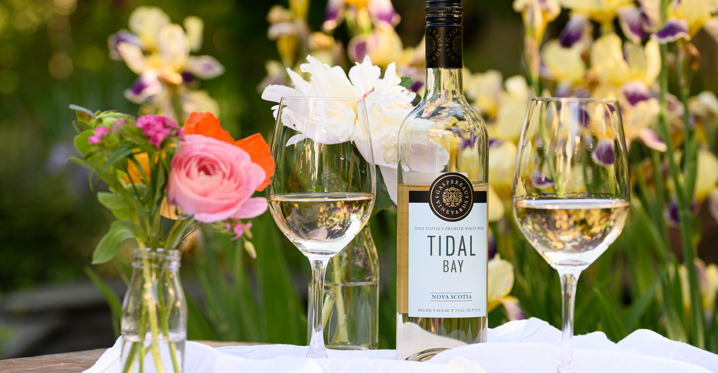 Explore our vineyards | Gaspereau Vineyards