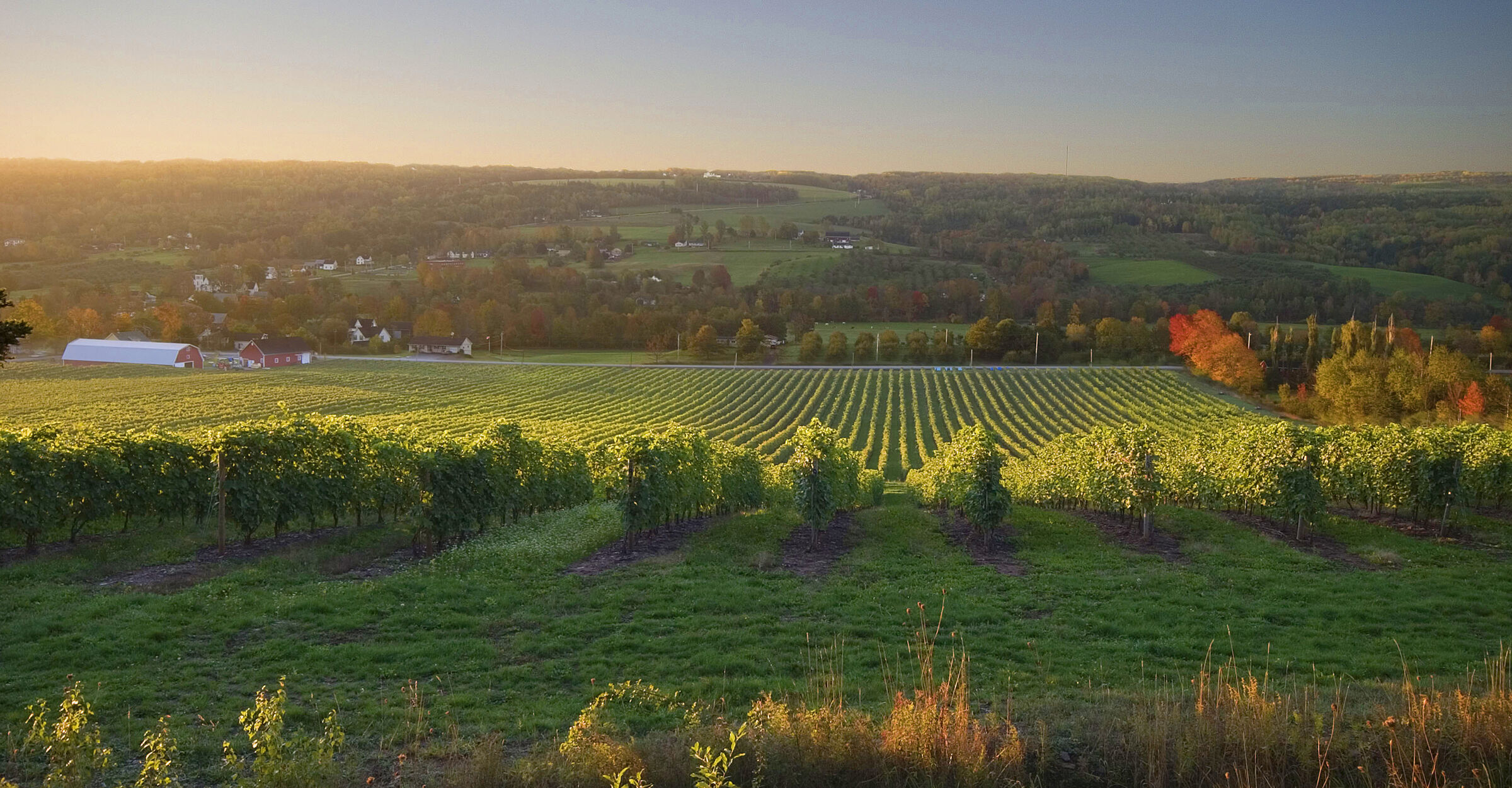 Explore our vineyards